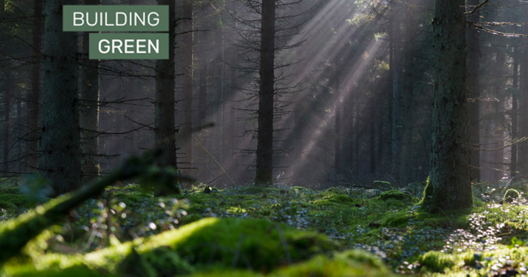 Building Green: Sådan bygger du med et dokumenteret bæredygtigt indeklima