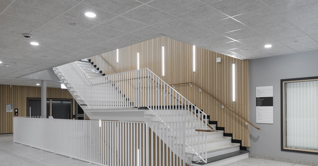 Den omkringliggende natur genspejles i Hallarnaskolens design | Troldtekt