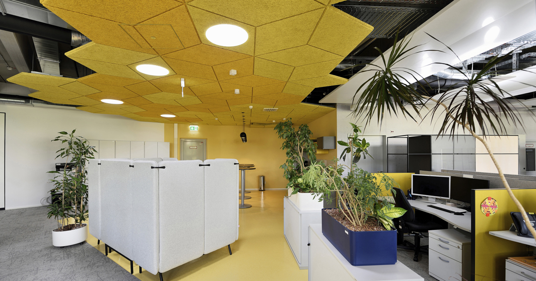 Raffineret loftsdesign i moderne kontor | Troldtekt